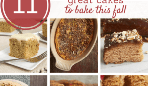 12 Fantastic Fall Cookies - Bake or Break