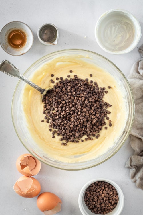 Old-Fashioned Chocolate Chip Cake Recipe | Bake or Break