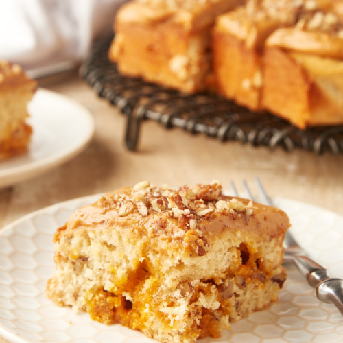 Cinnamon Sugar Snack Cake (Easy One-Pan Recipe)