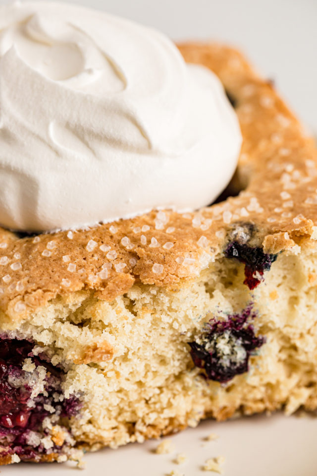 Simple Berry Vanilla Cake | Bake or Break