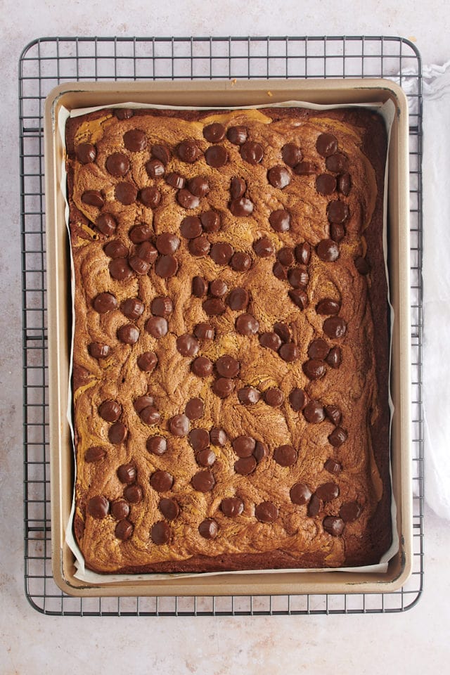 Chewy Peanut Butter Brownies | Bake or Break