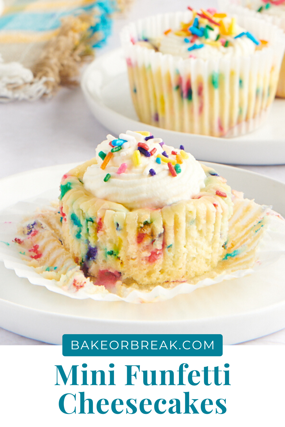 Mini Funfetti Cheesecakes - Bake or Break