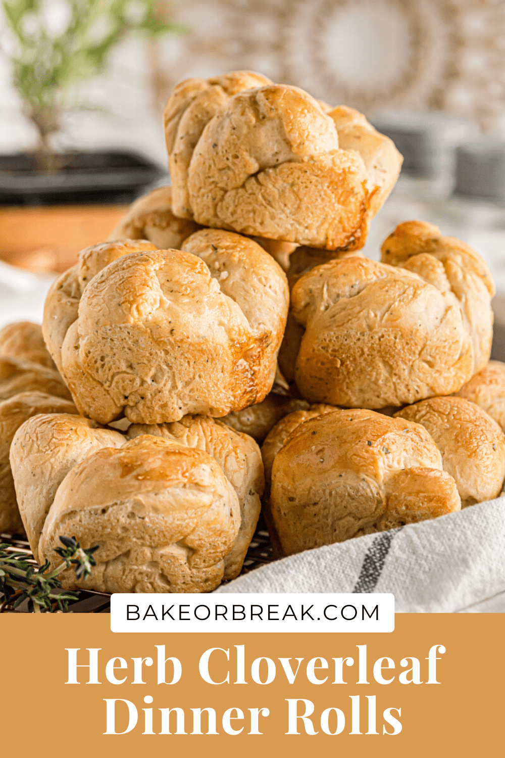 Herb Cloverleaf Dinner Rolls | Bake or Break
