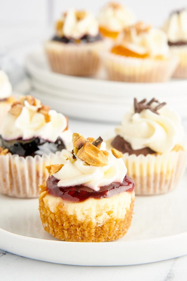 Mini Cheesecakes Recipe | Bake or Break
