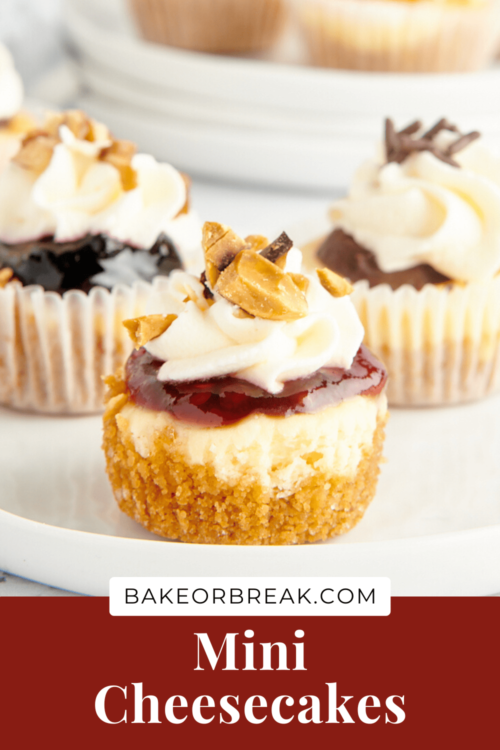 Mini Cheesecakes Recipe | Bake or Break