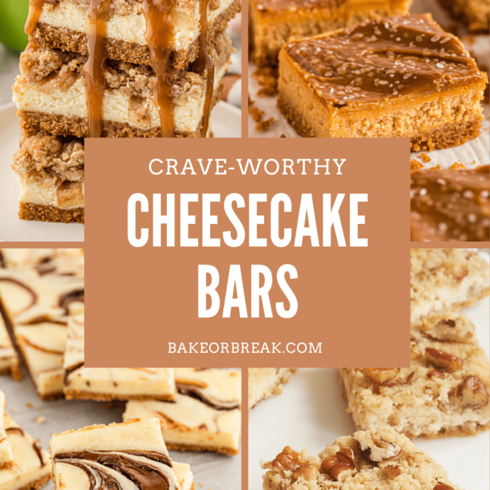 Best Cheesecake Recipes | Bake or Break