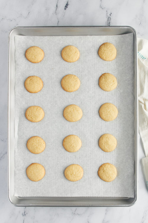 Homemade Vanilla Wafers | Bake or Break