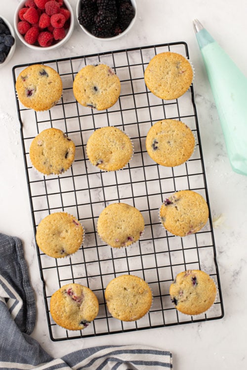 Berry Cupcakes - Bake or Break