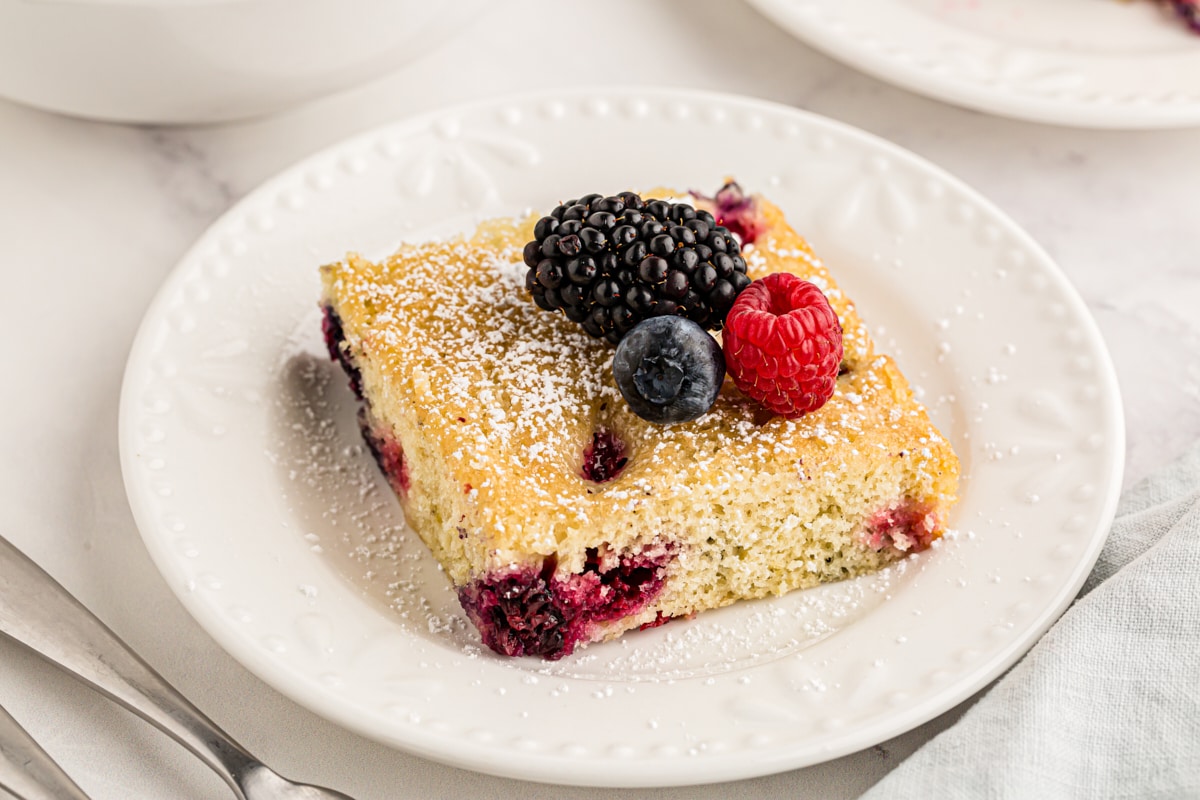 Moist Berry Pudding Cake | Bake or Break