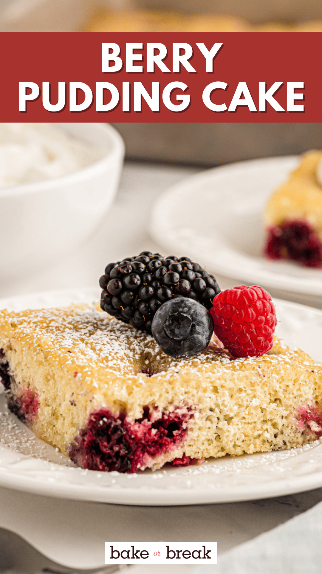 Moist Berry Pudding Cake | Bake or Break
