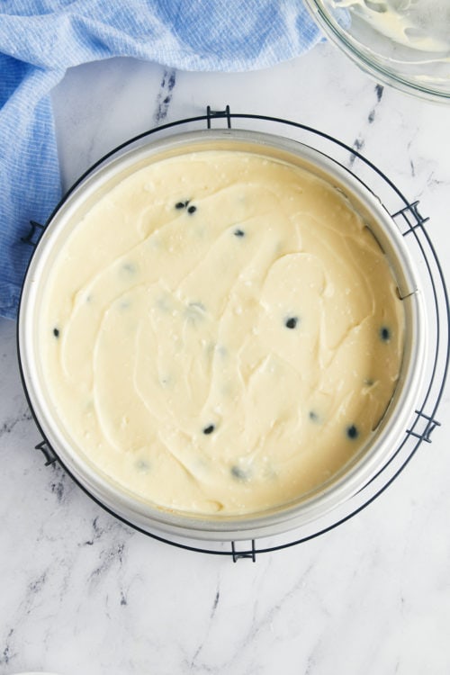 Creamy Blueberry Cheesecake | Bake or Break