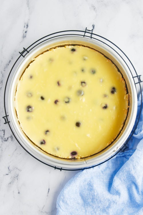 Creamy Blueberry Cheesecake | Bake or Break