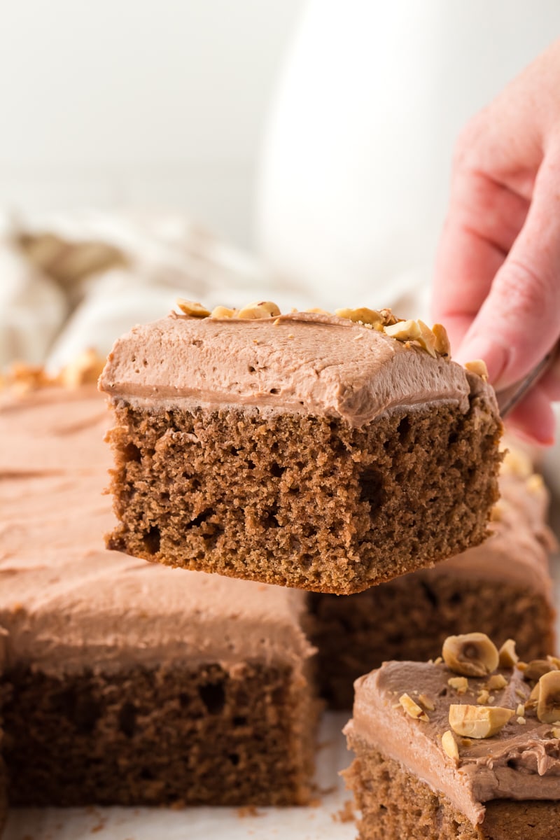 Frosted Chocolate Hazelnut Cake - Bake or Break