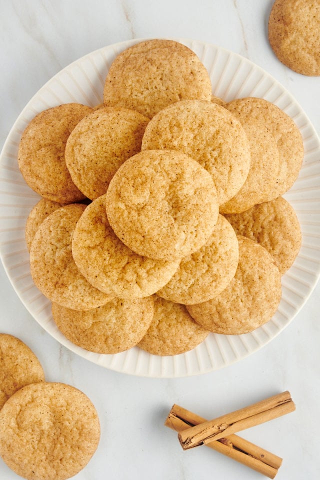 Soft and Chewy Snickerdoodle Recipe | Bake or Break