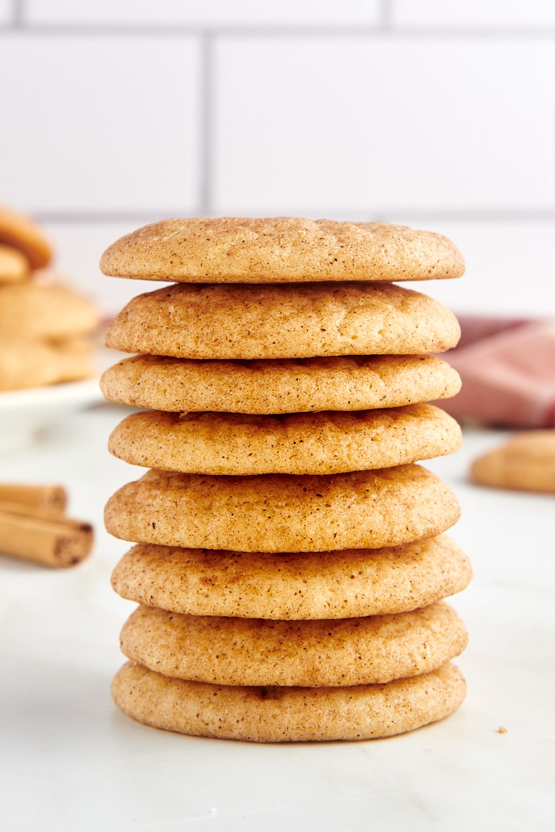 Soft and Chewy Snickerdoodle Recipe | Bake or Break