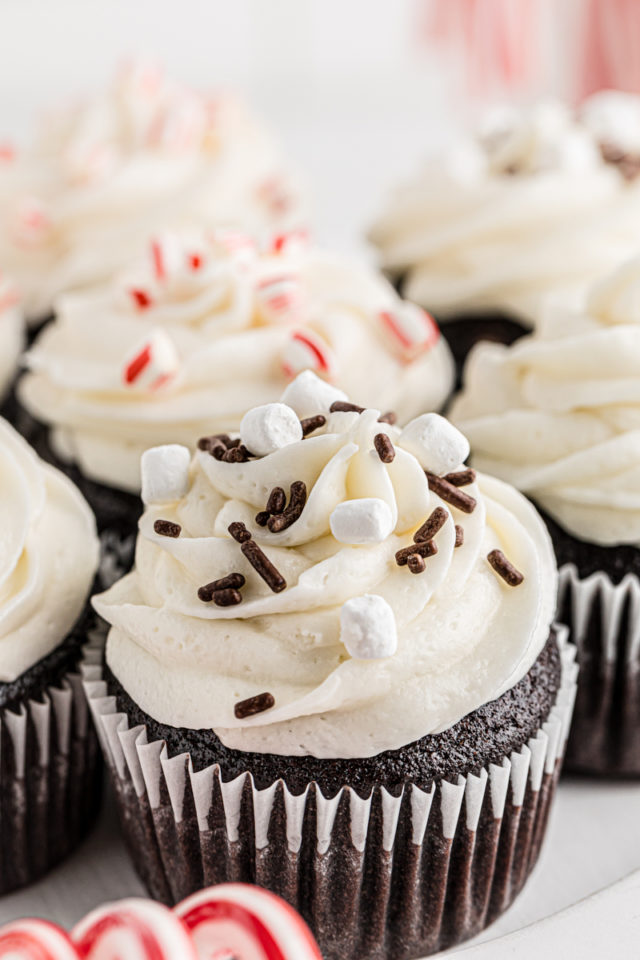 Bring On the Cozy with Hot Chocolate Cupcakes - Bake or Break