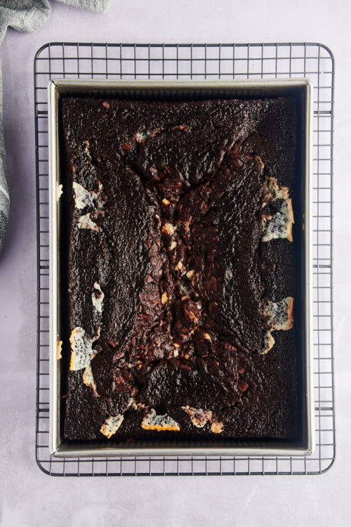 Earthquake Cake (From Scratch) | Bake or Break