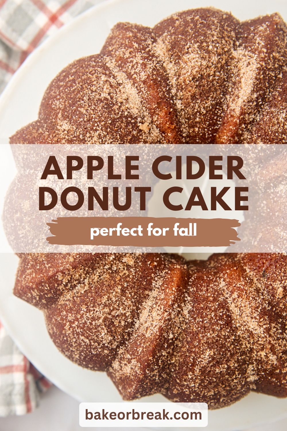 Apple Cider Donut Cake - Bake or Break