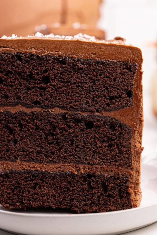 Sweet and Salty Cake (with Salted Caramel!) | Bake or Break