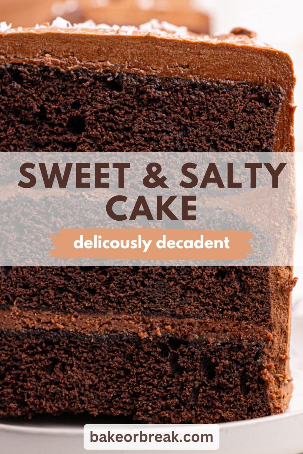 Sweet and Salty Cake (with Salted Caramel!) | Bake or Break