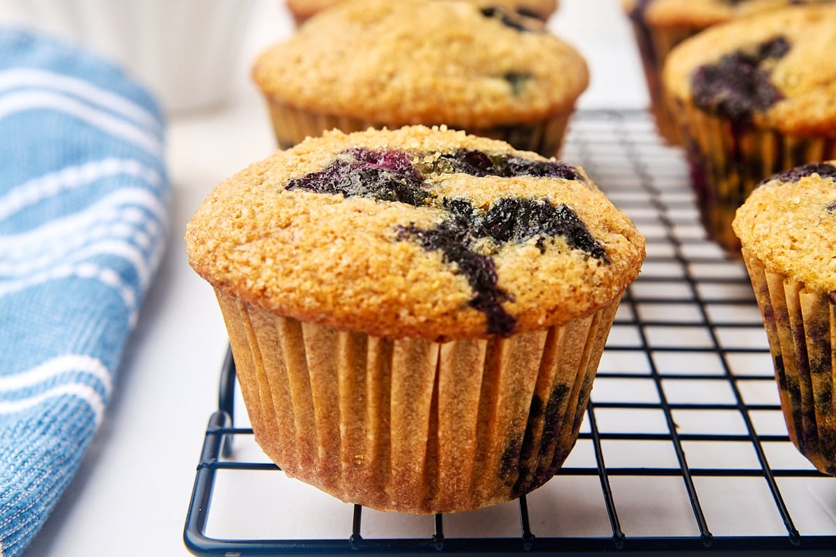 Whole Wheat Blueberry Muffins - Bake or Break