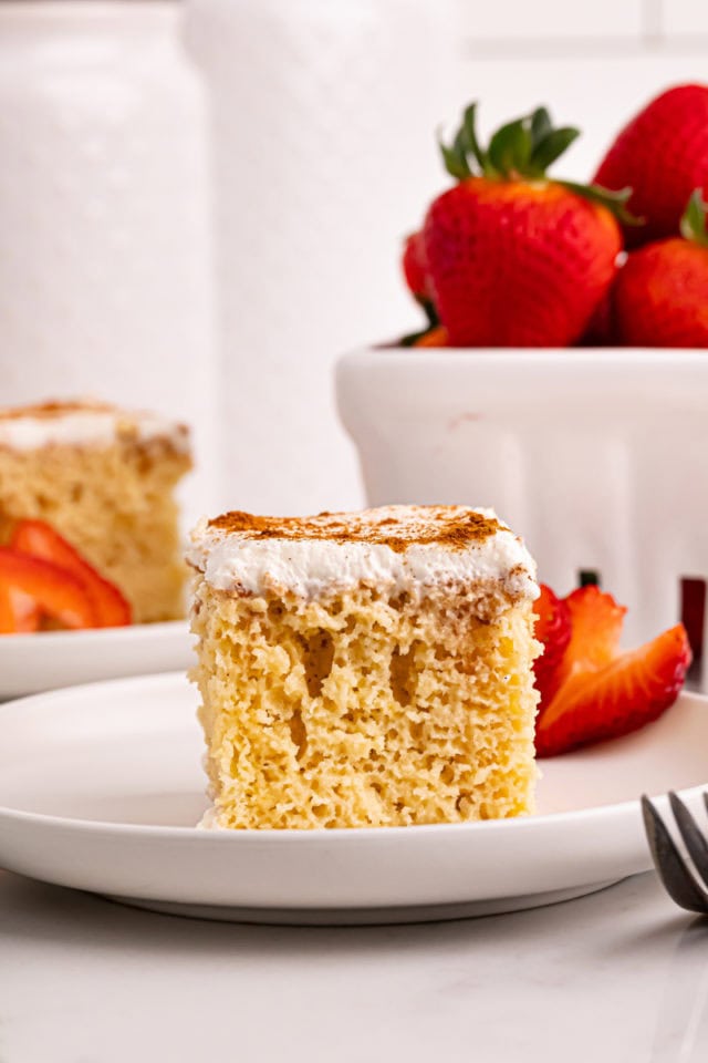 Irresistibly Moist Tres Leches Cake Recipe - Bake or Break