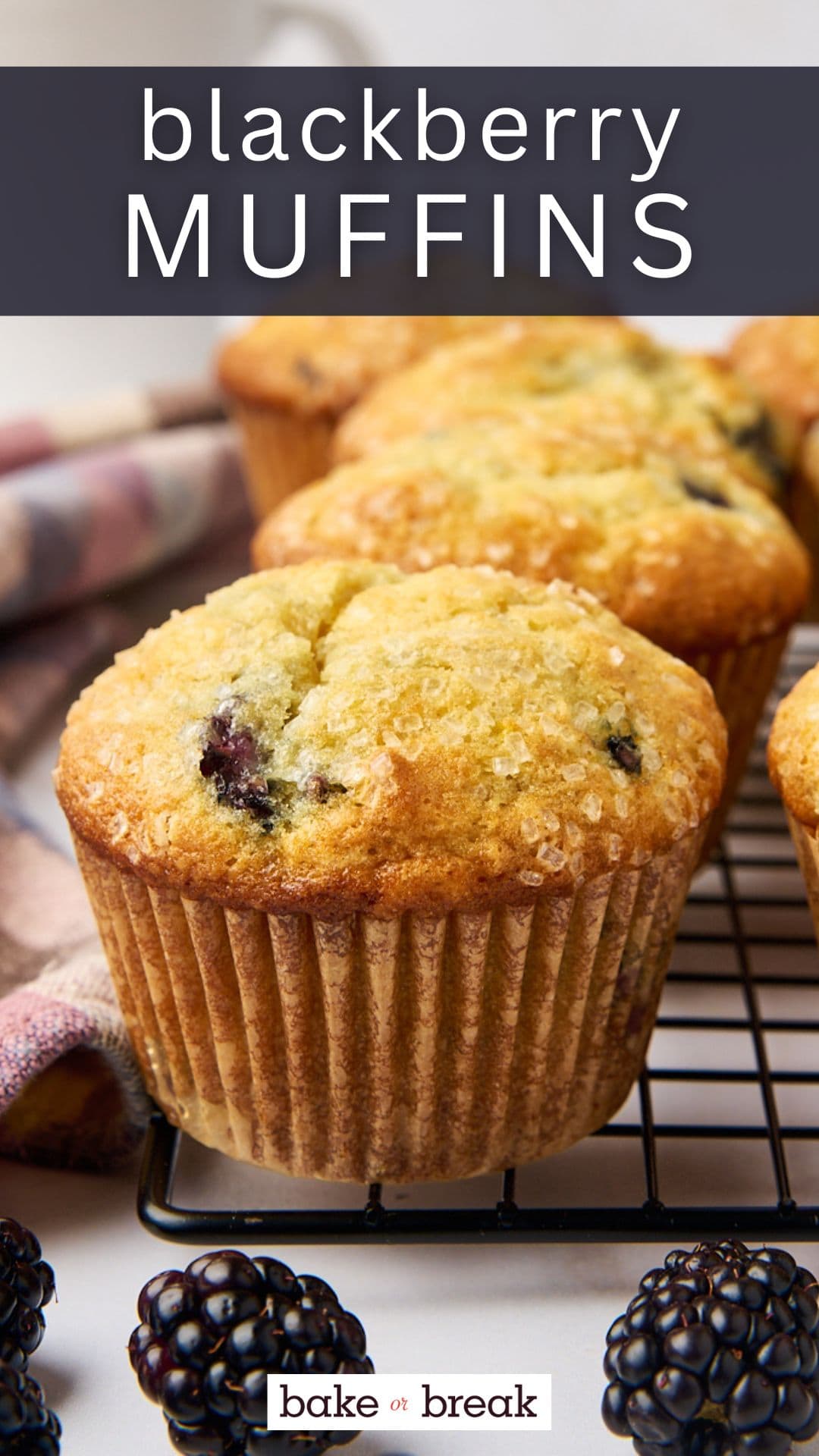 Bakery-Style Blackberry Muffins â€“ Soft, Tender, and Easy