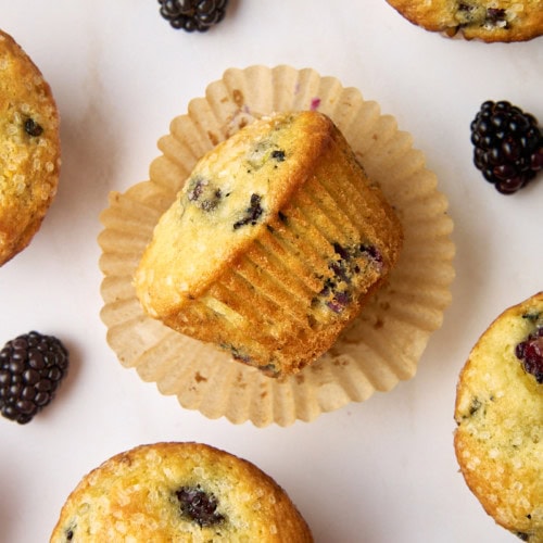 Easy Muffin Recipes | Bake or Break