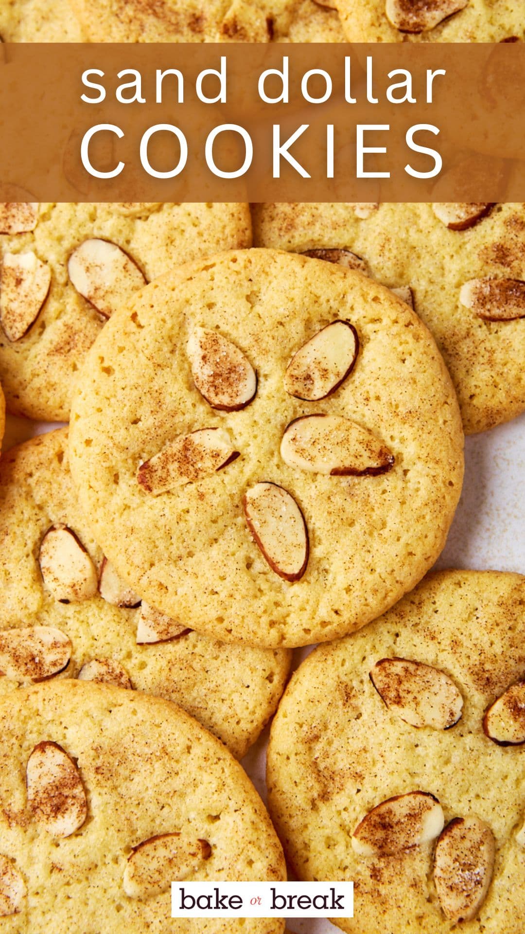 Sand Dollar Cookies â€“ Soft Sugar Cookies for Summer