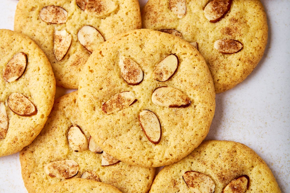 Sand Dollar Cookies â€“ Soft Sugar Cookies for Summer