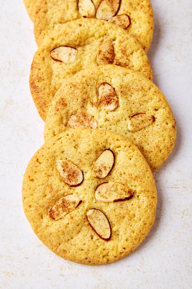 Sand Dollar Cookies â€“ Soft Sugar Cookies for Summer